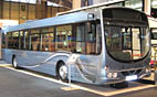 110 school buses to Northern Ireland